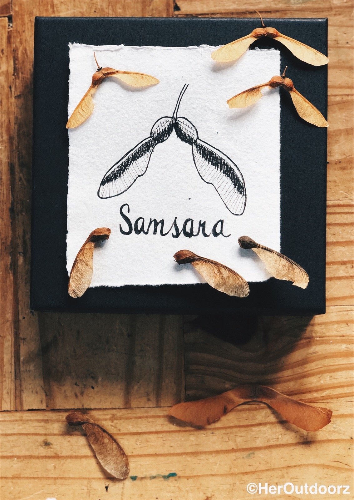 Nature Journaling — HerOutdoorz - Garden Designer and Nature Writer
