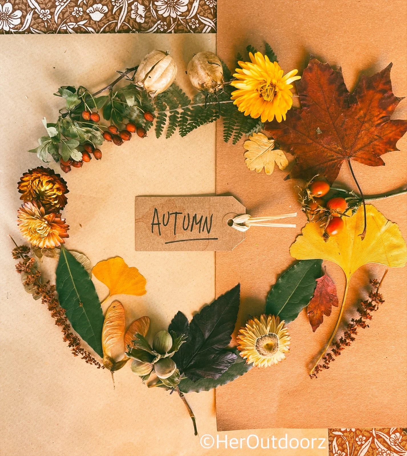 Nature Journaling — HerOutdoorz - Garden Designer and Nature Writer