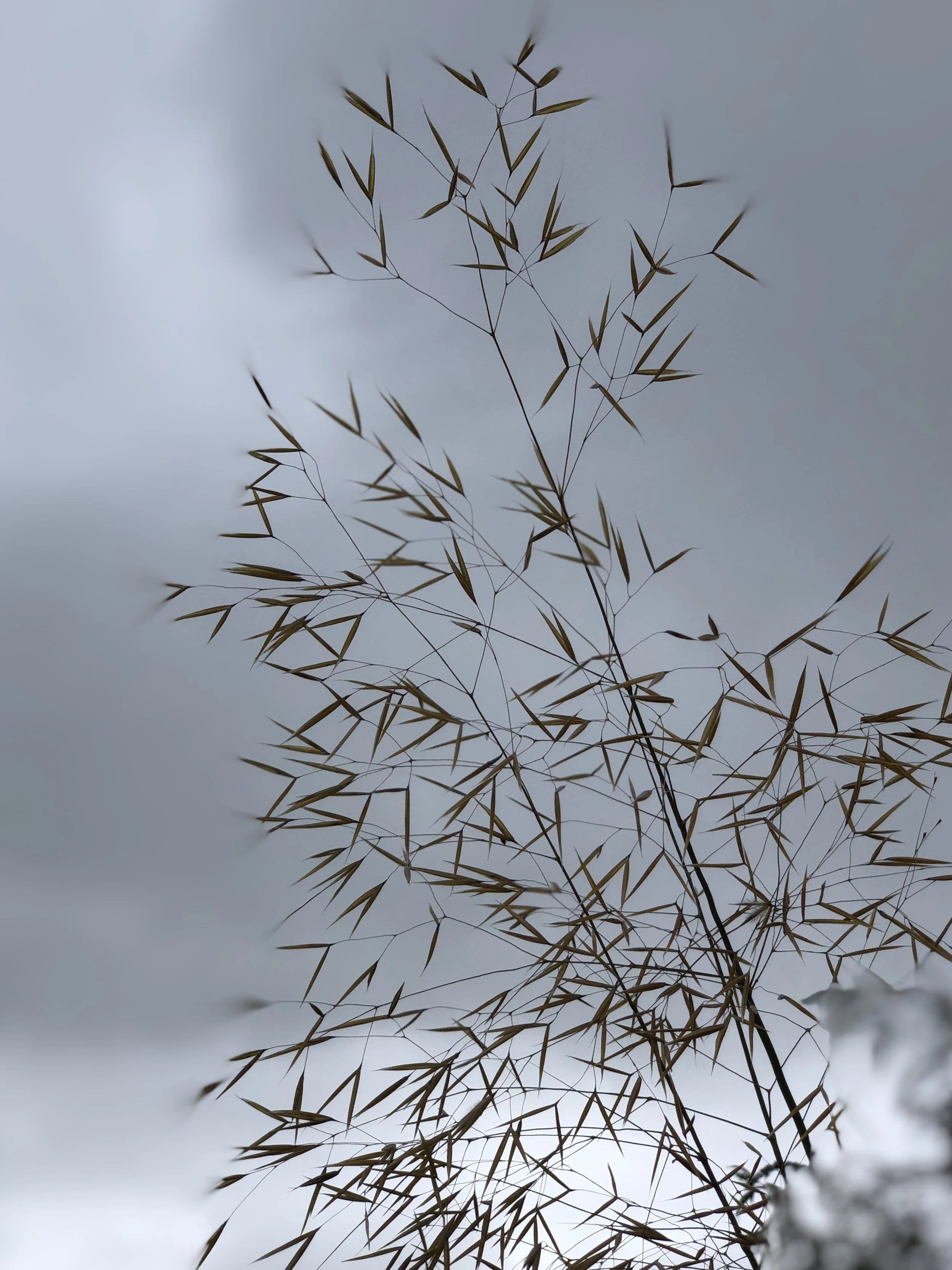 Twilight Gardens — HerOutdoorz - Garden Designer and Nature Writer