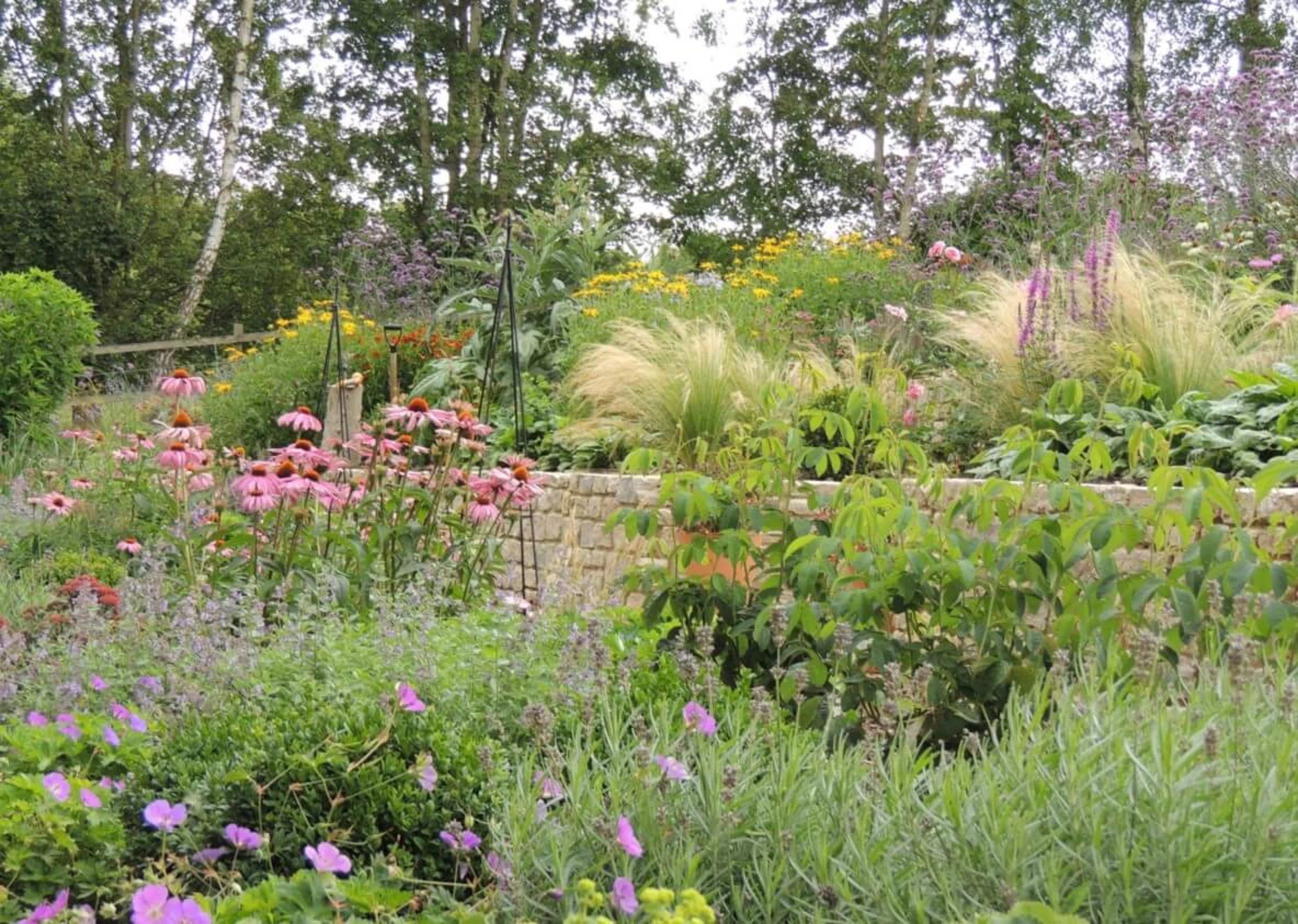 Naturalistic Planting Design — HerOutdoorz - Garden Designer and Nature ...