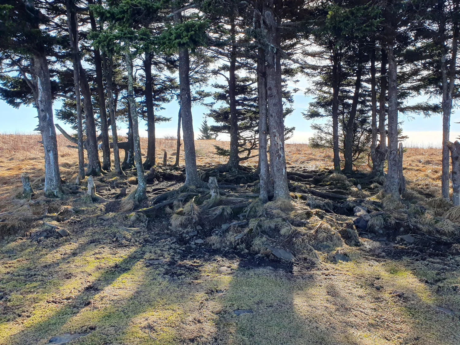 Information — Roan Highlands