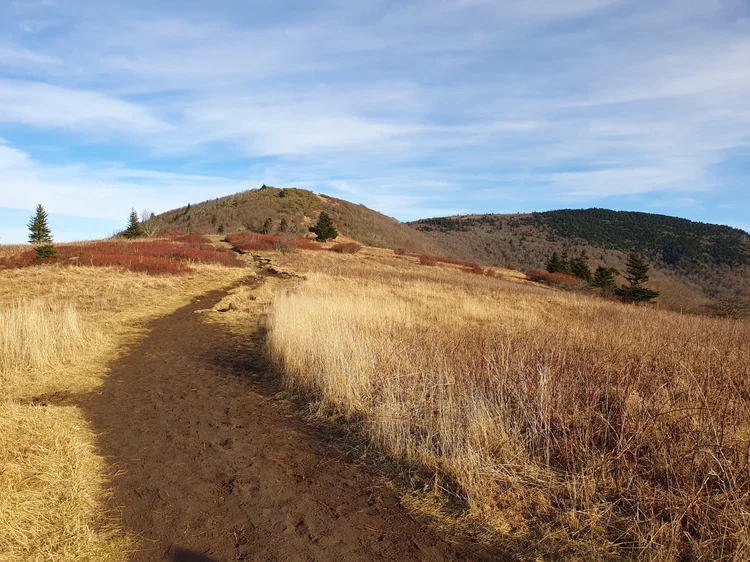 Information — Roan Highlands
