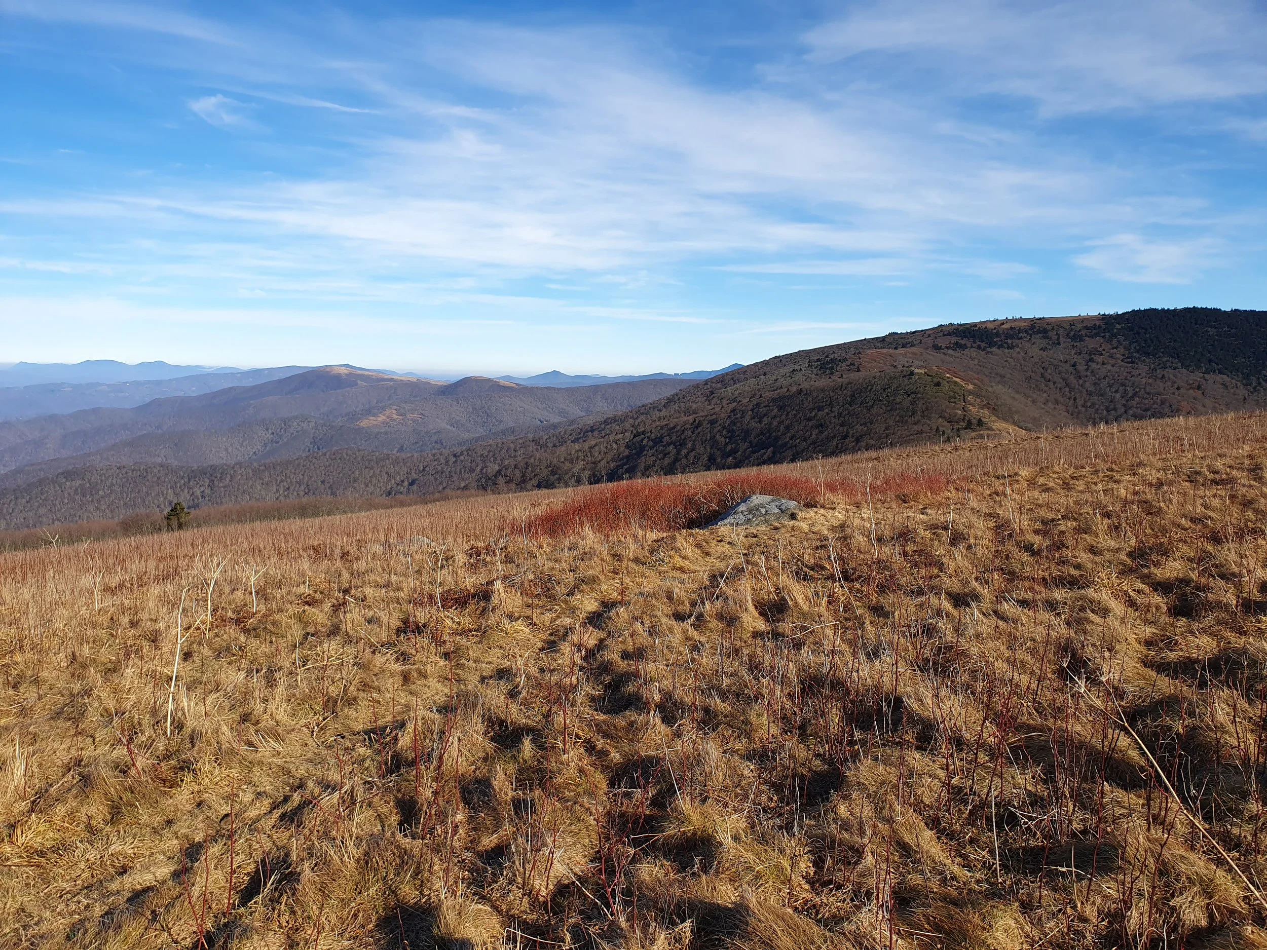 Trails at Roan Mountain — Roan Highlands