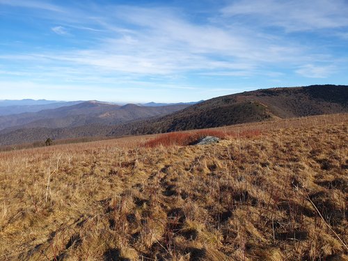 Trails at Roan Mountain — Roan Highlands