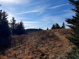 Maps — Roan Highlands