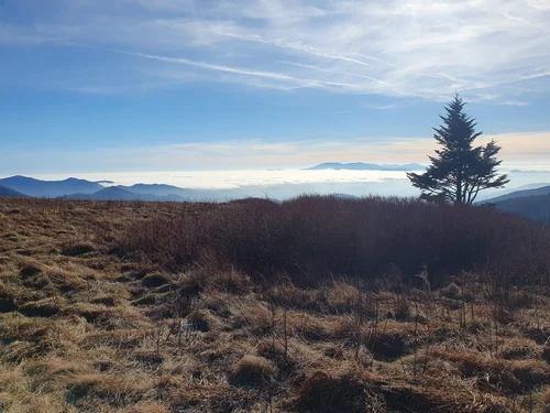 Information — Roan Highlands