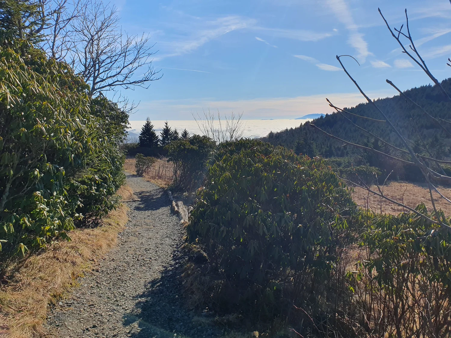 Trails at Roan Mountain — Roan Highlands