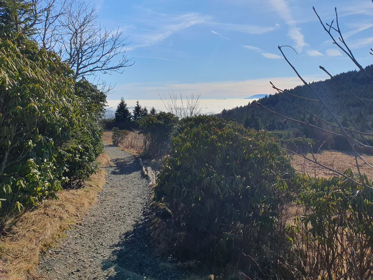 Trails at Roan Mountain — Roan Highlands