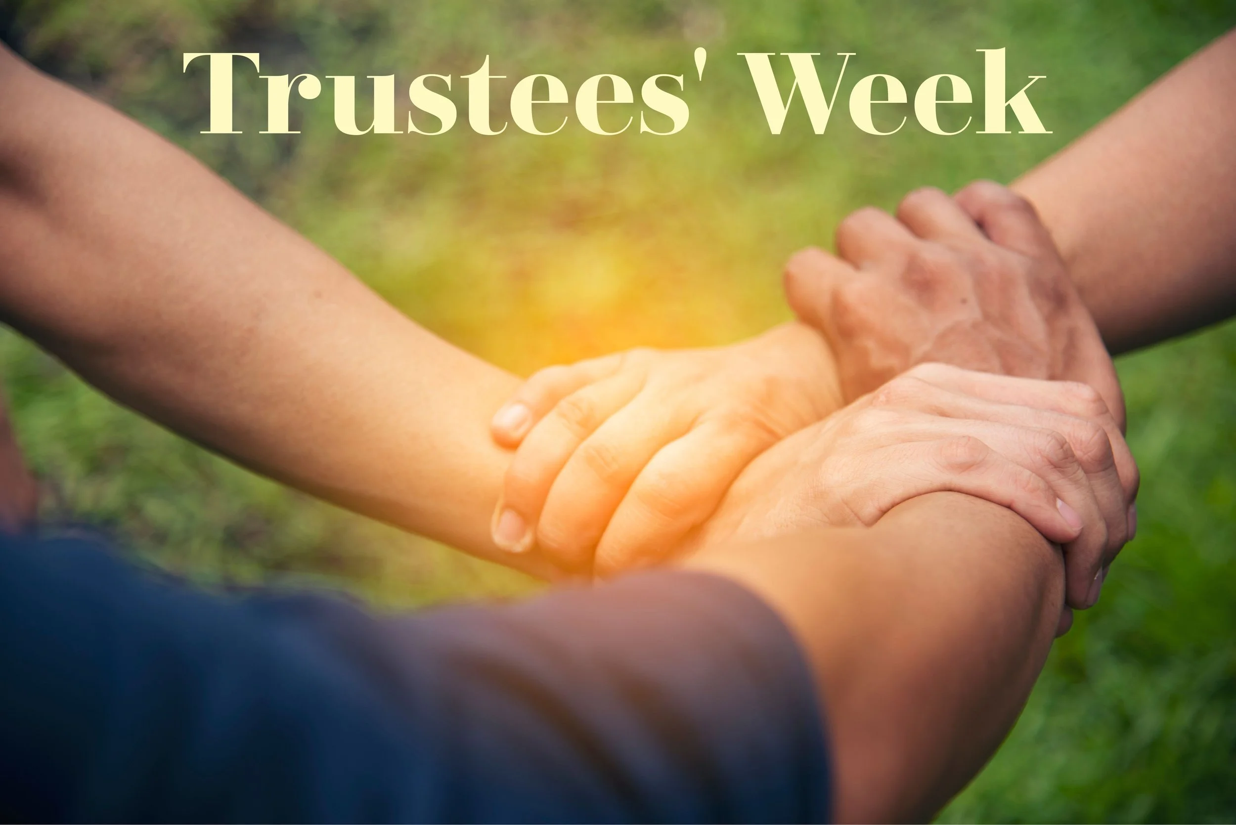 Moon Executive Search - Trustees' Week: Laura Salisbury