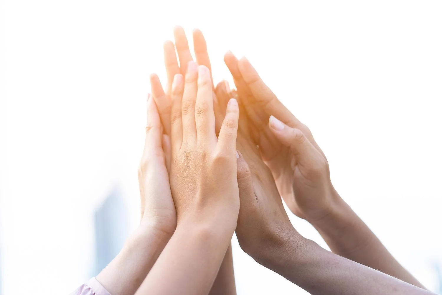 Moon Executive Search - What Does a Charity CEO Look Like? Meet 5 New ...