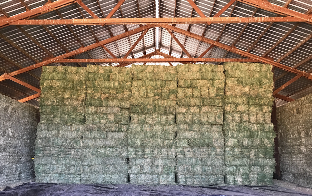 Retail Hay For Sale — S.D. Seifert Co.
