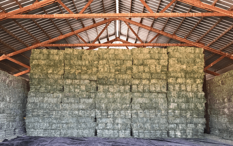 Retail Hay For Sale — S.D. Seifert Co.