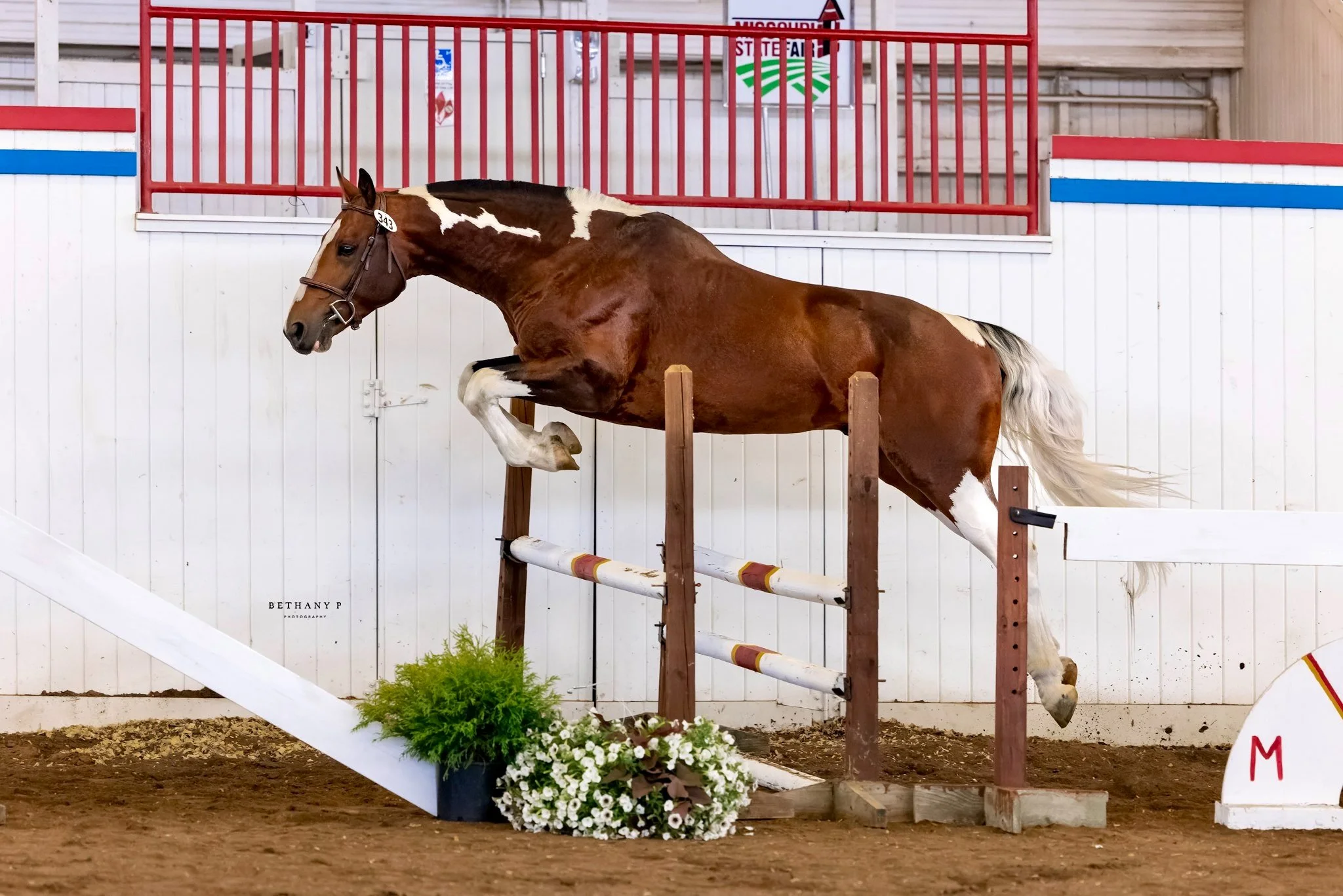 Young Horse Finals Spotlight: ASF Air Attack — Tryon International