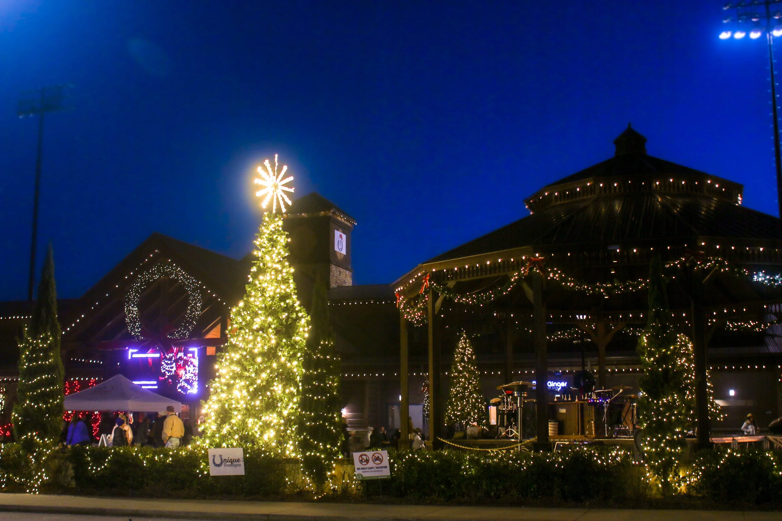 Winterfest — Tryon International