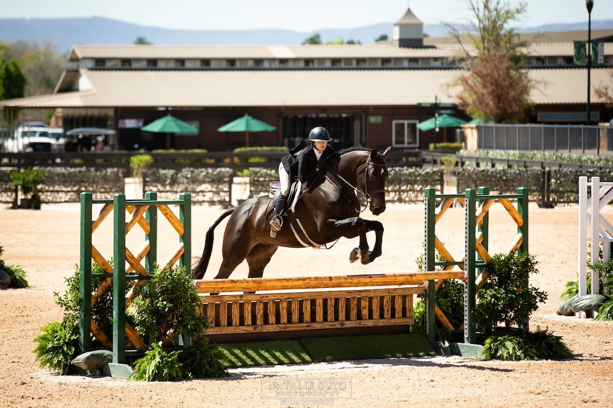 Hunter/Jumper — Tryon International