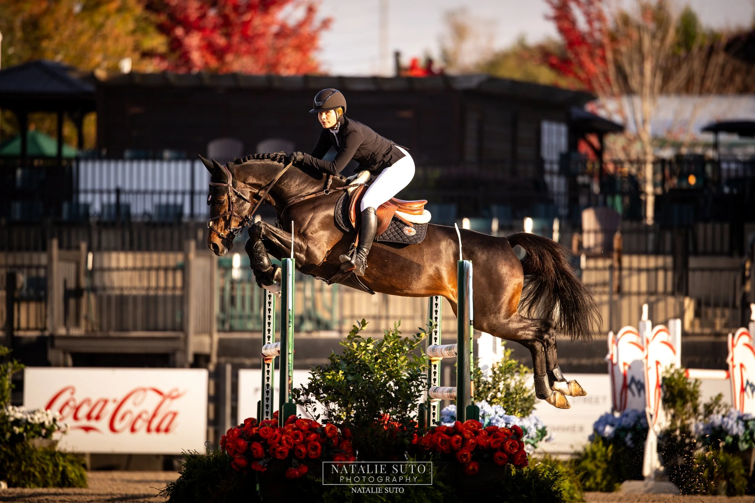 Tryon Fall 5 (National/Level 6/CSI 5* & 2*) — Tryon International
