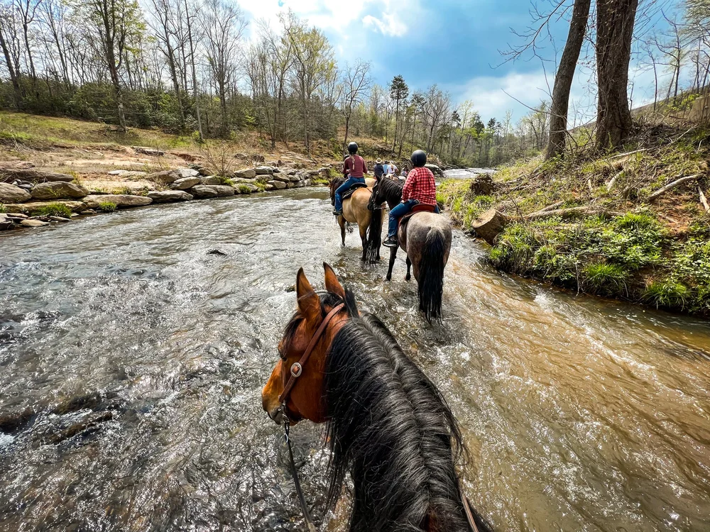 Tryon Western Adventures — Tryon International