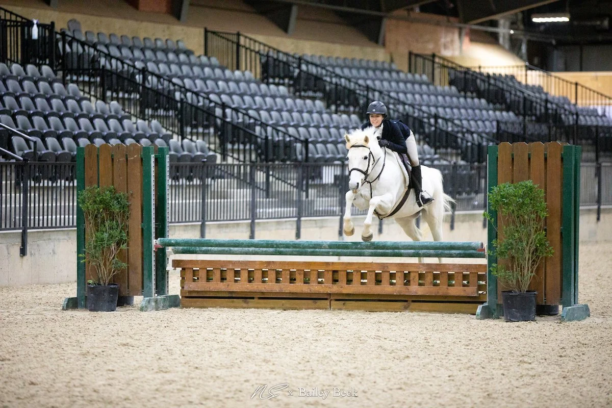 Hunter/Jumper — Tryon International