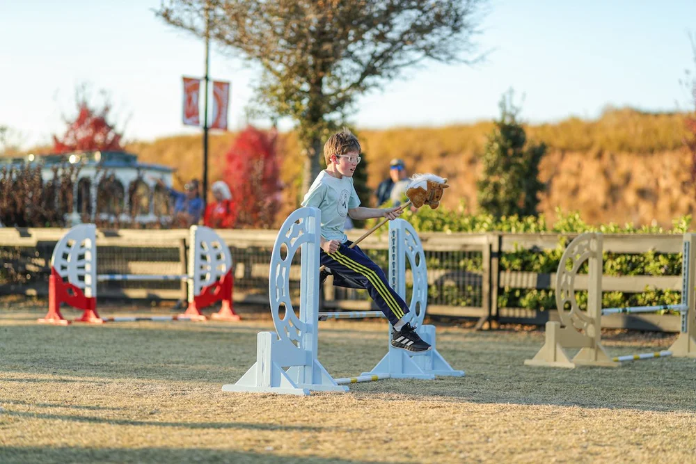 American Hobby Horse Series — Tryon International