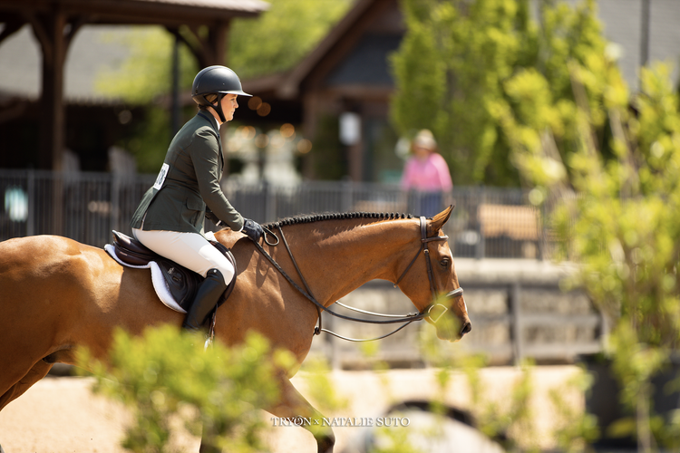 Competitor Resources | Tryon International — Tryon International