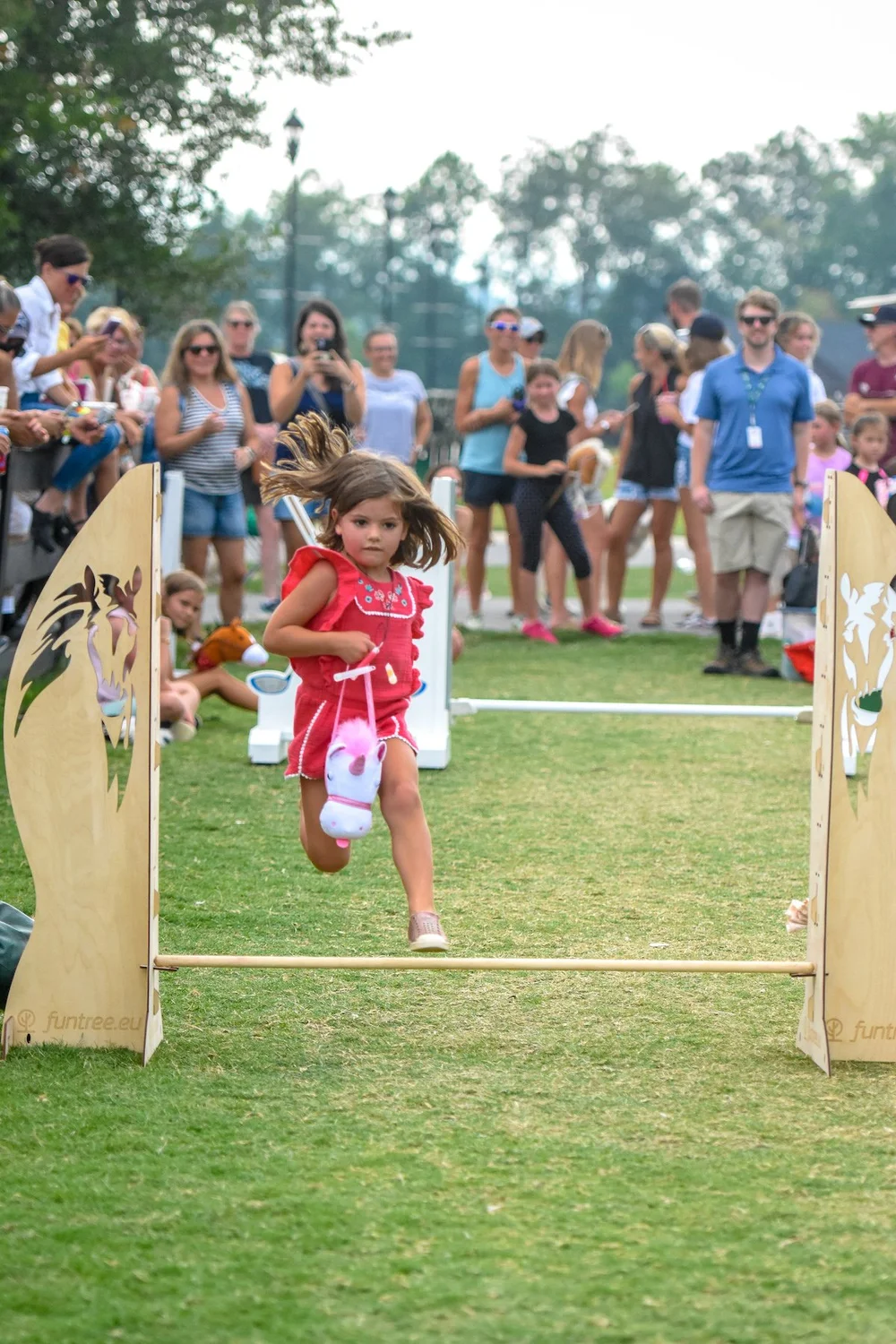 American Hobby Horse Series — Tryon International