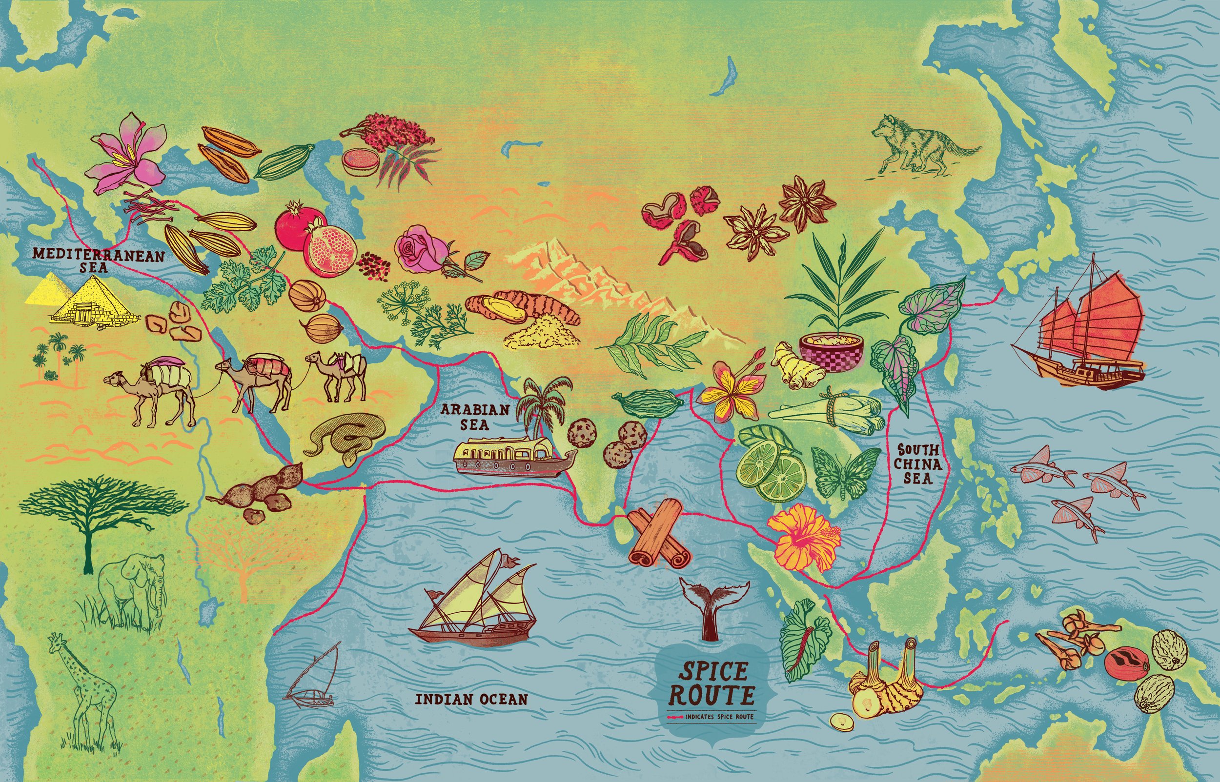 The Nutmeg Trail — Eleanor Ford