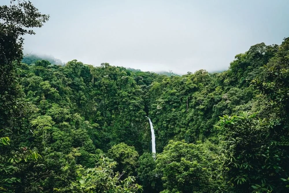 Social Impact — Wellth Living