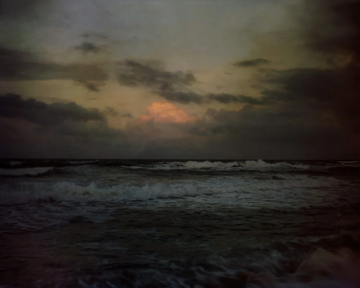 The Sea — Barbara Bosworth