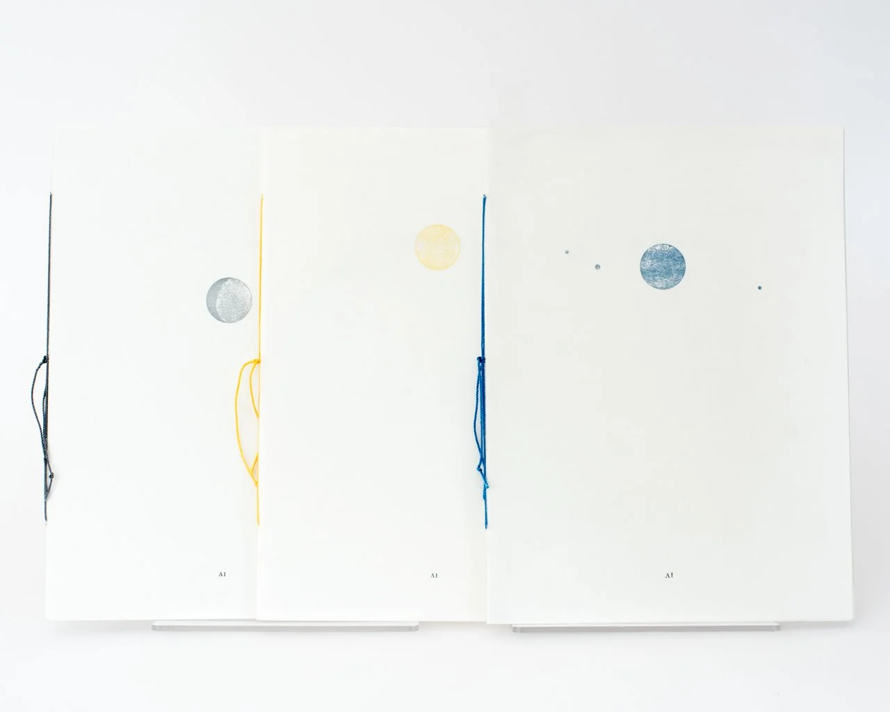 Self-published Artist Books — Barbara Bosworth