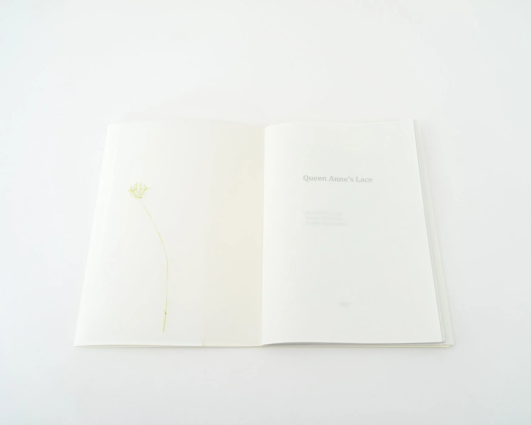 Self-published Artist Books — Barbara Bosworth