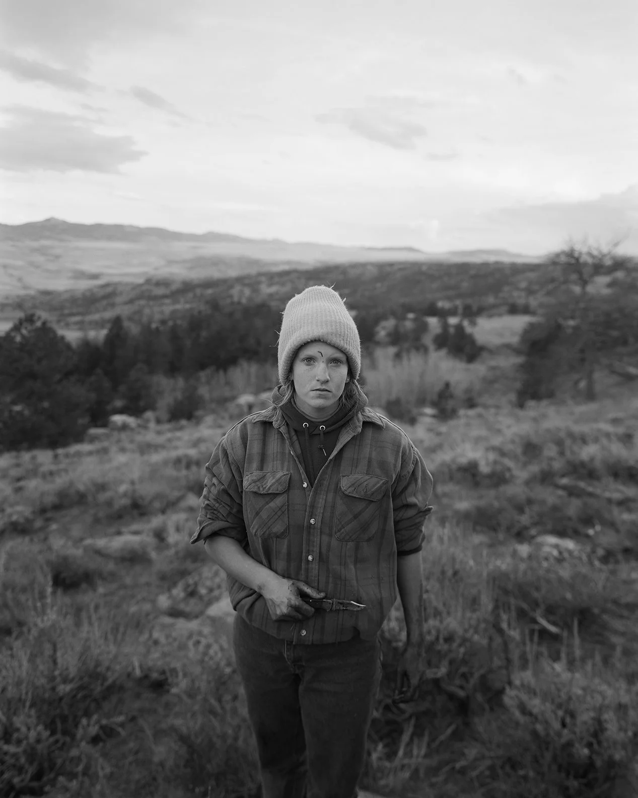The North Woods — Barbara Bosworth