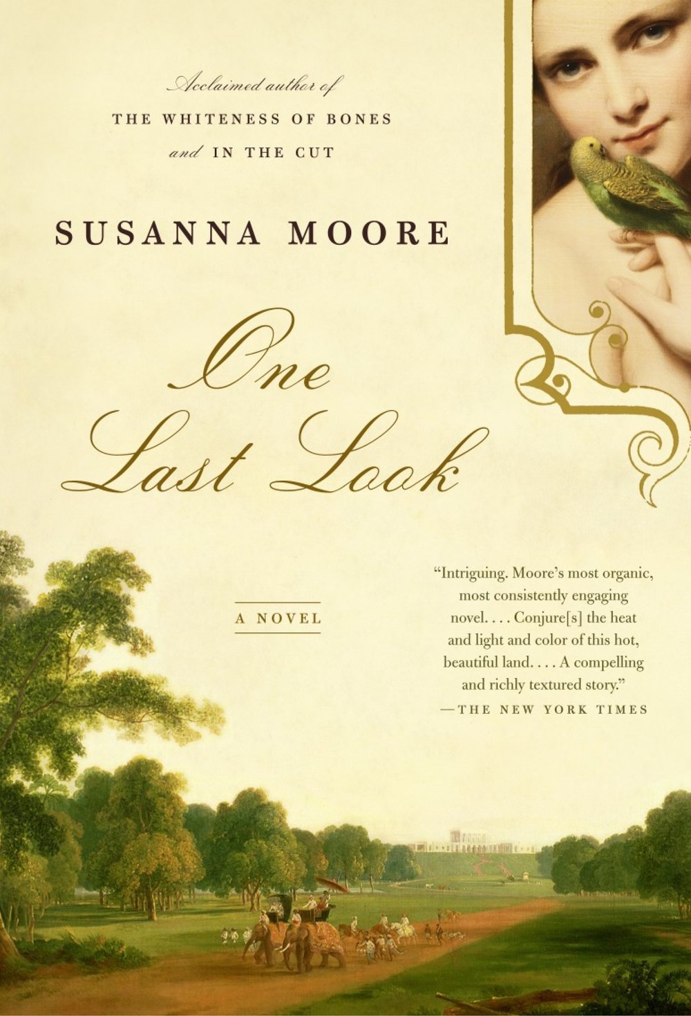 One Last Look — Susanna Moore