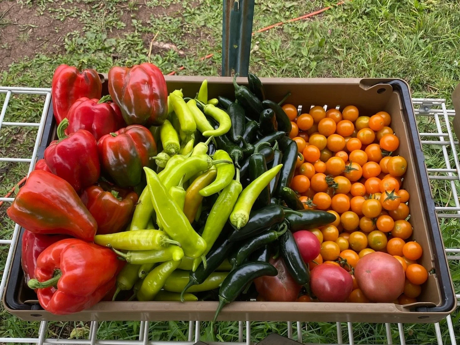 Products — Ghost House Farm