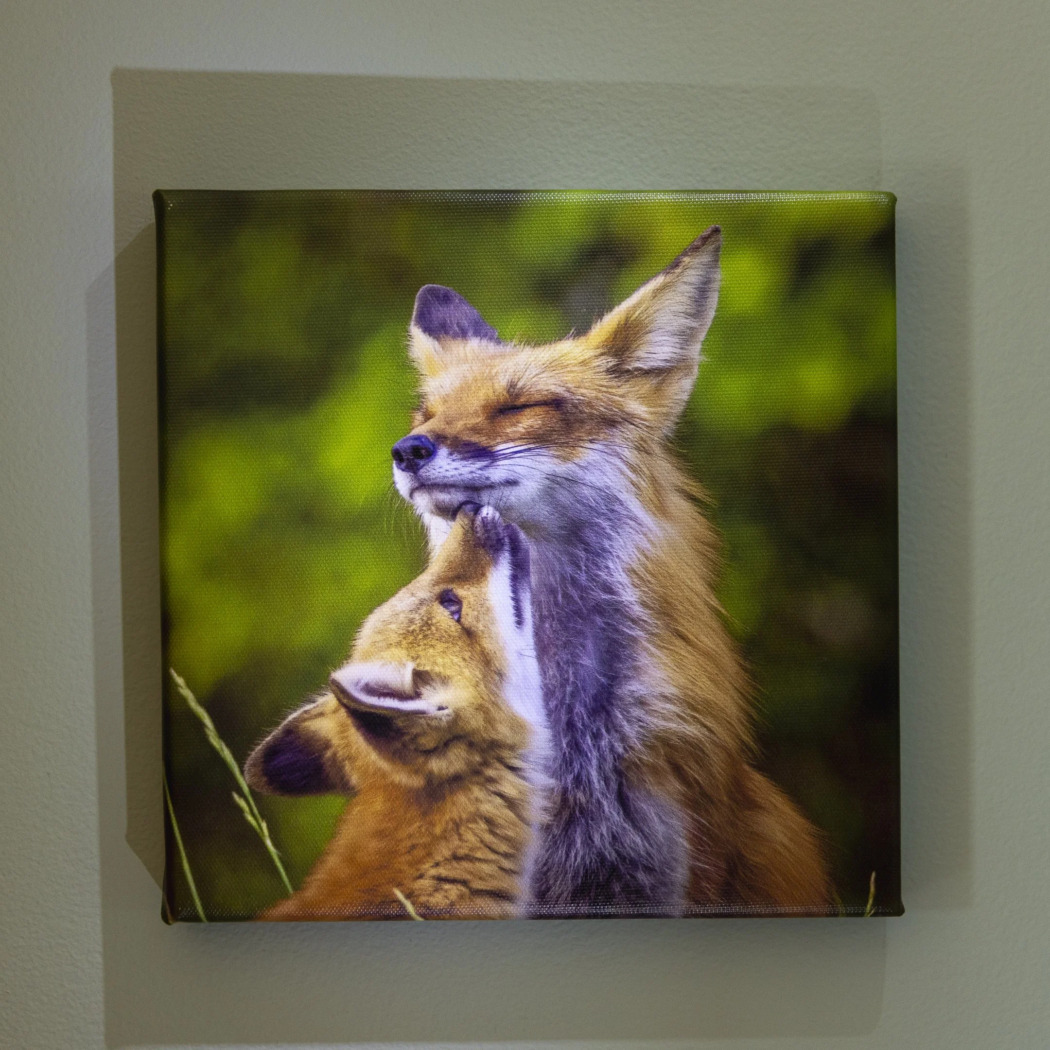 Shop — Fox Tales Books