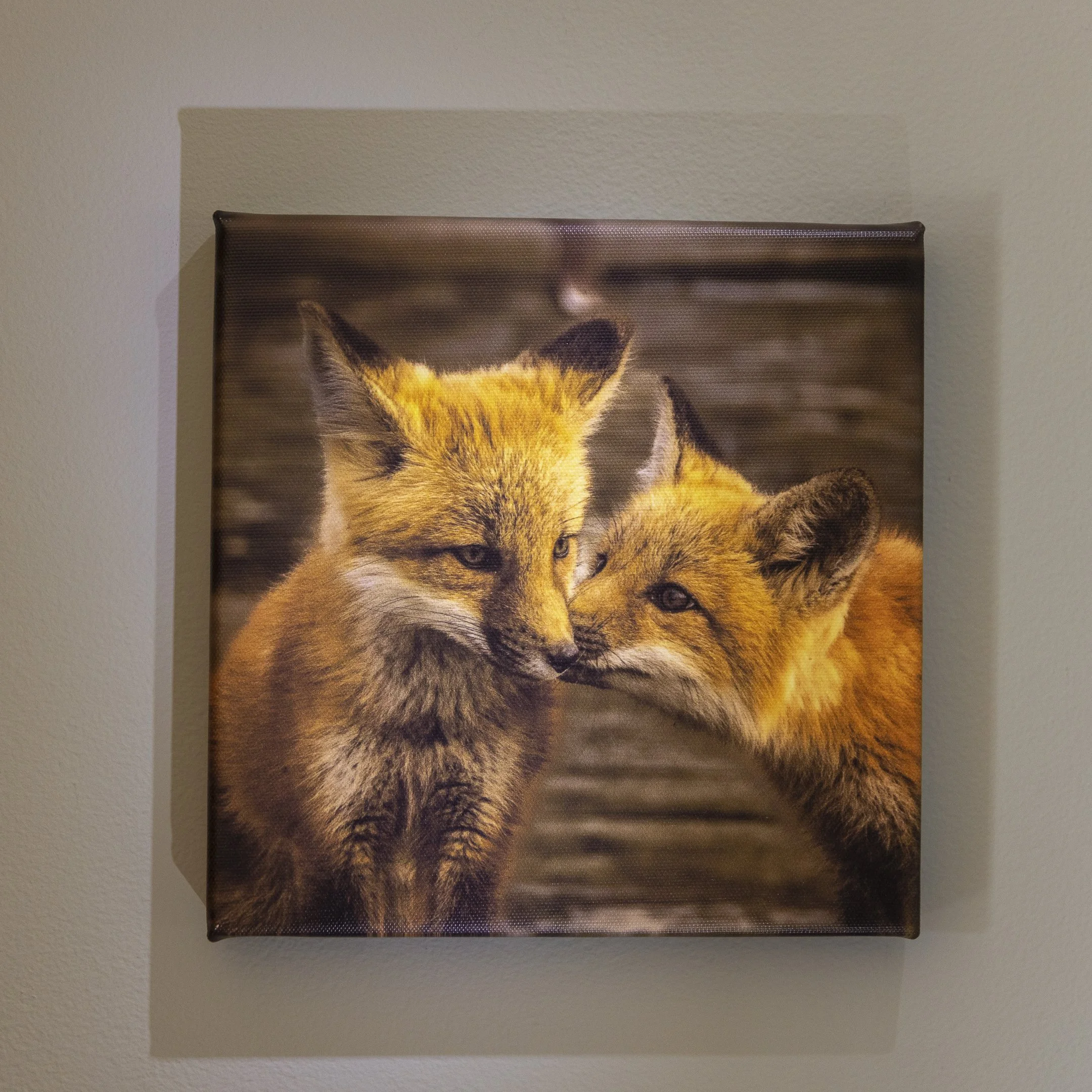 Shop — Fox Tales Books