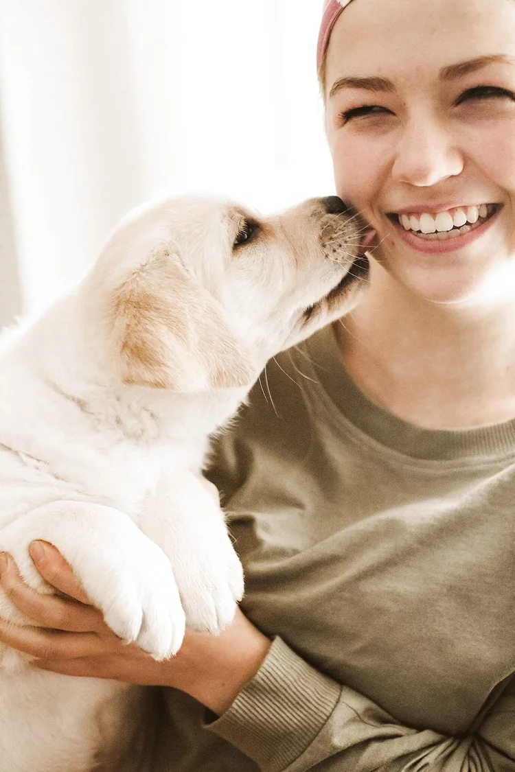 Grand River Labradors | Michigan Breeder