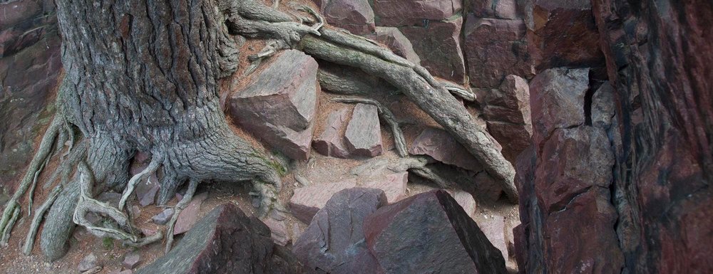 Devils Lake Overview and Activities