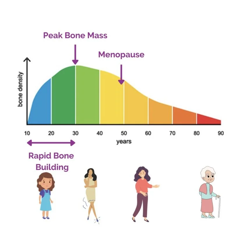 Building Stronger Bones: The Impact of Strength Training on Bone ...
