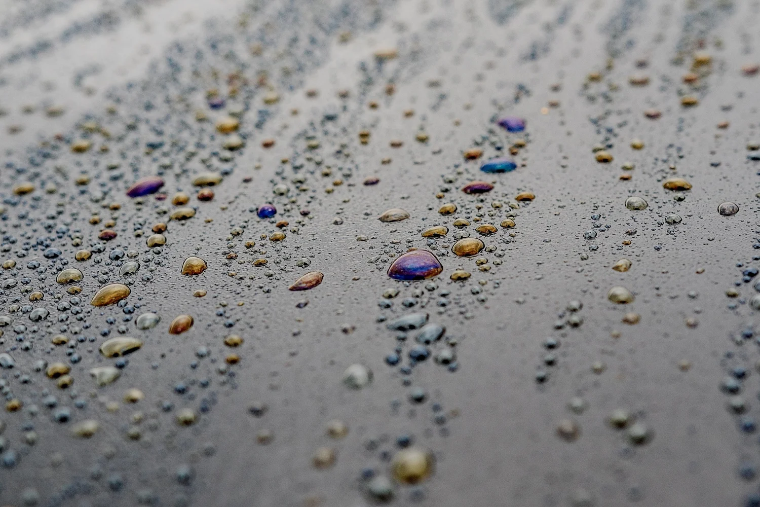 Covenant
