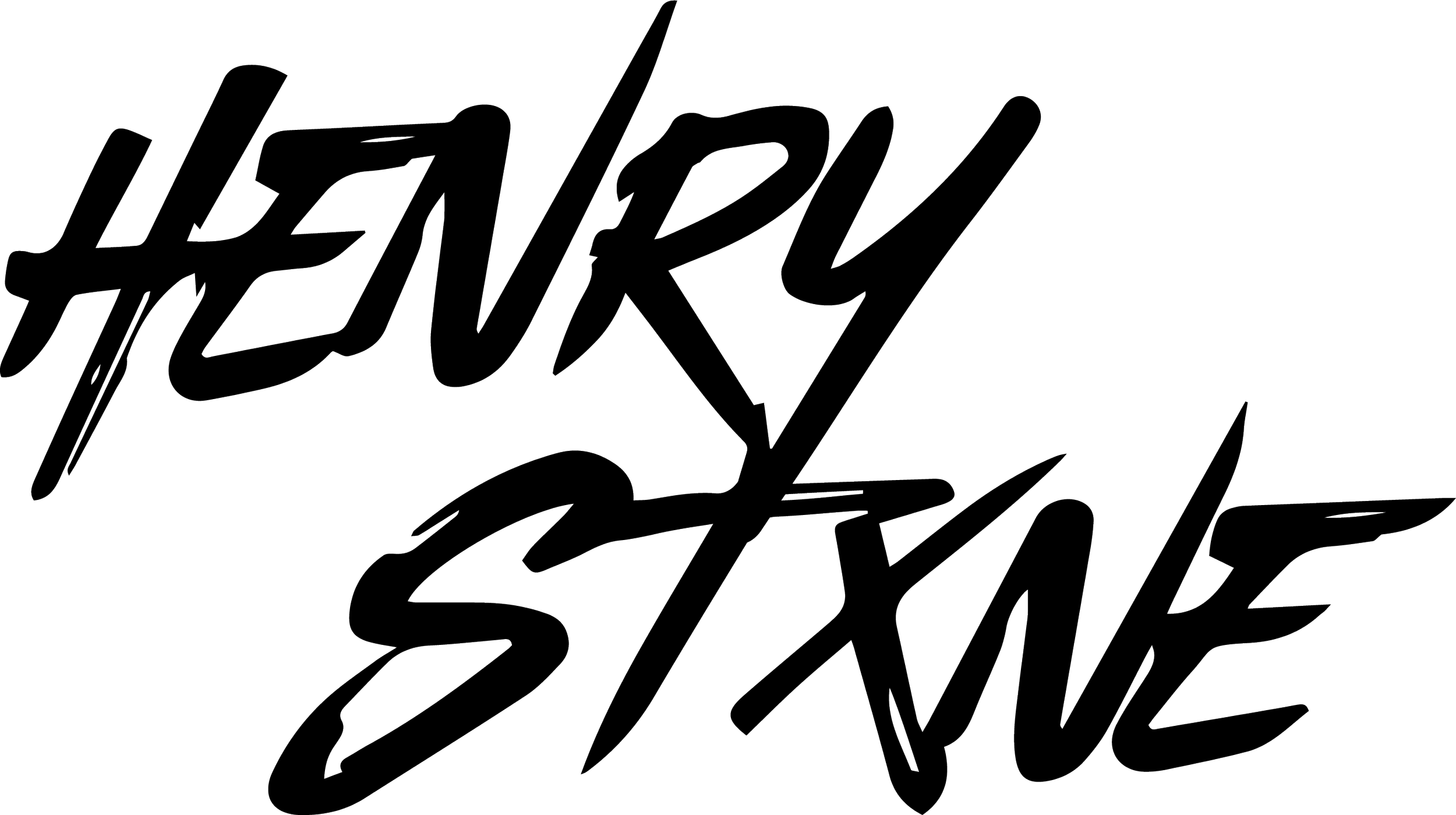 ABOUT — HENRY STXNE