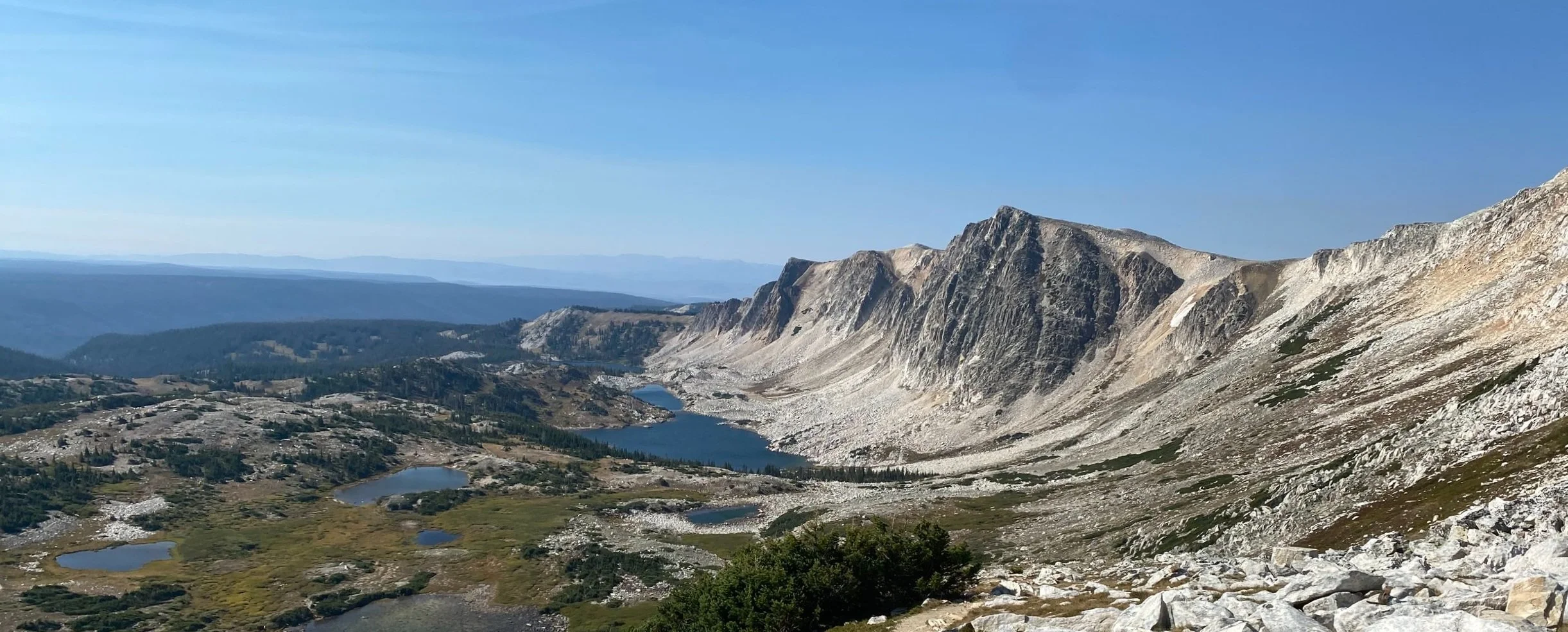 Downloads — Horberg Total Joints