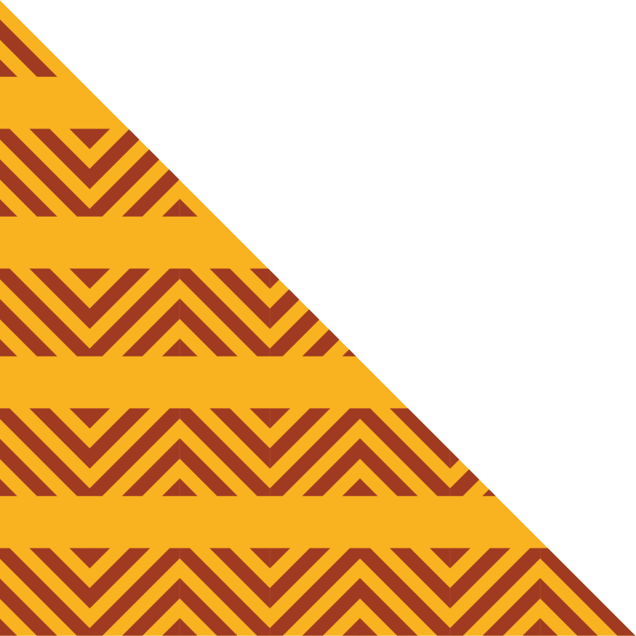 Whanau Ora Services — Tongan Health Society