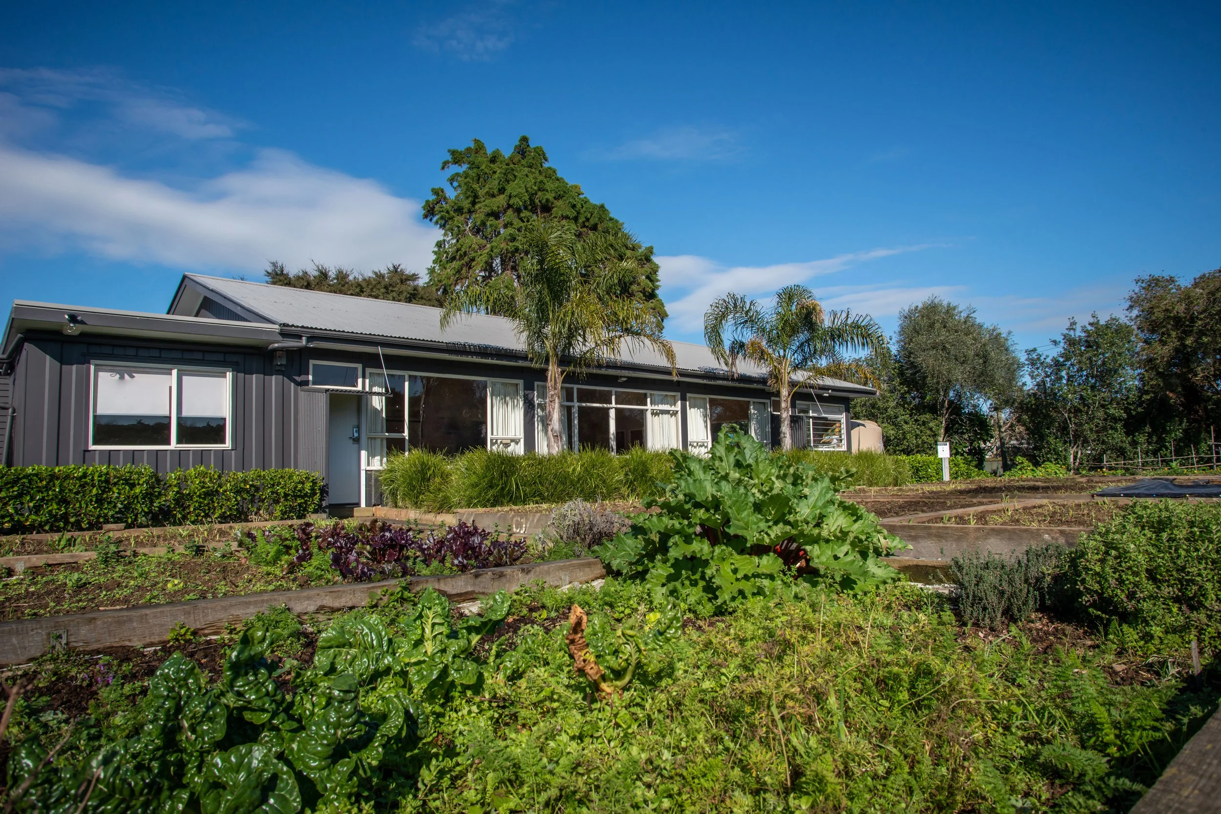 Tongan Health Society - Holistic, High-Quality Healthcare for Pacific ...