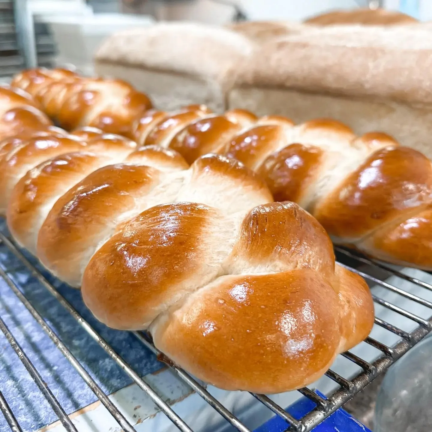 The Nest by Dough Dough