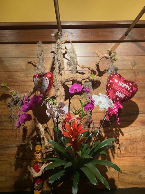 Sabaidee Thai Massage And Spa