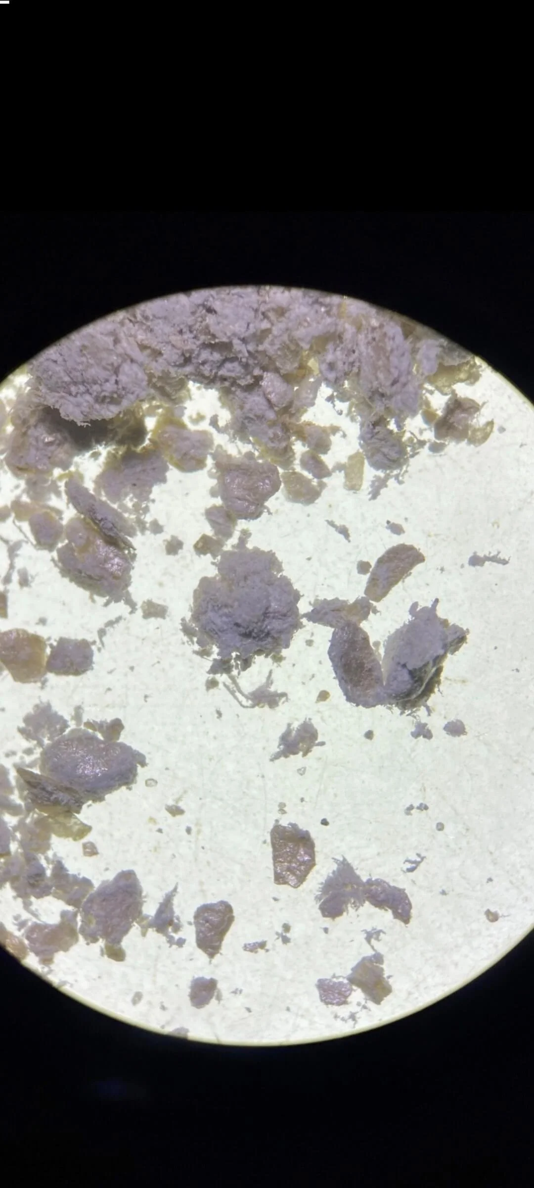 Asbestos/hazardous materials sampling | Applied Risk Control