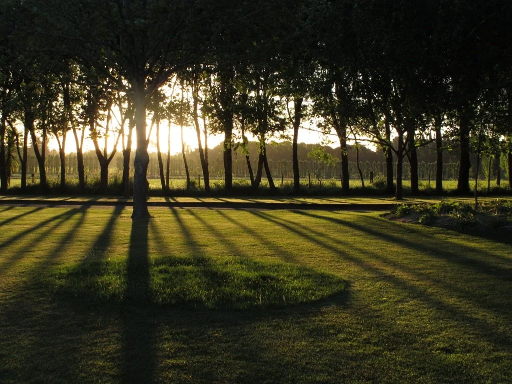 Gallery — Frensham