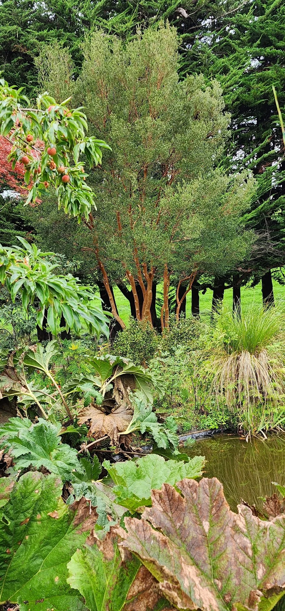 Autumn 2023 — Frensham