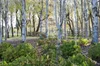 Frensham