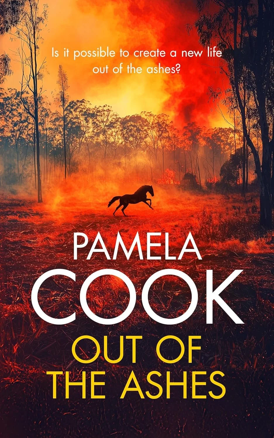 Pamela Cook